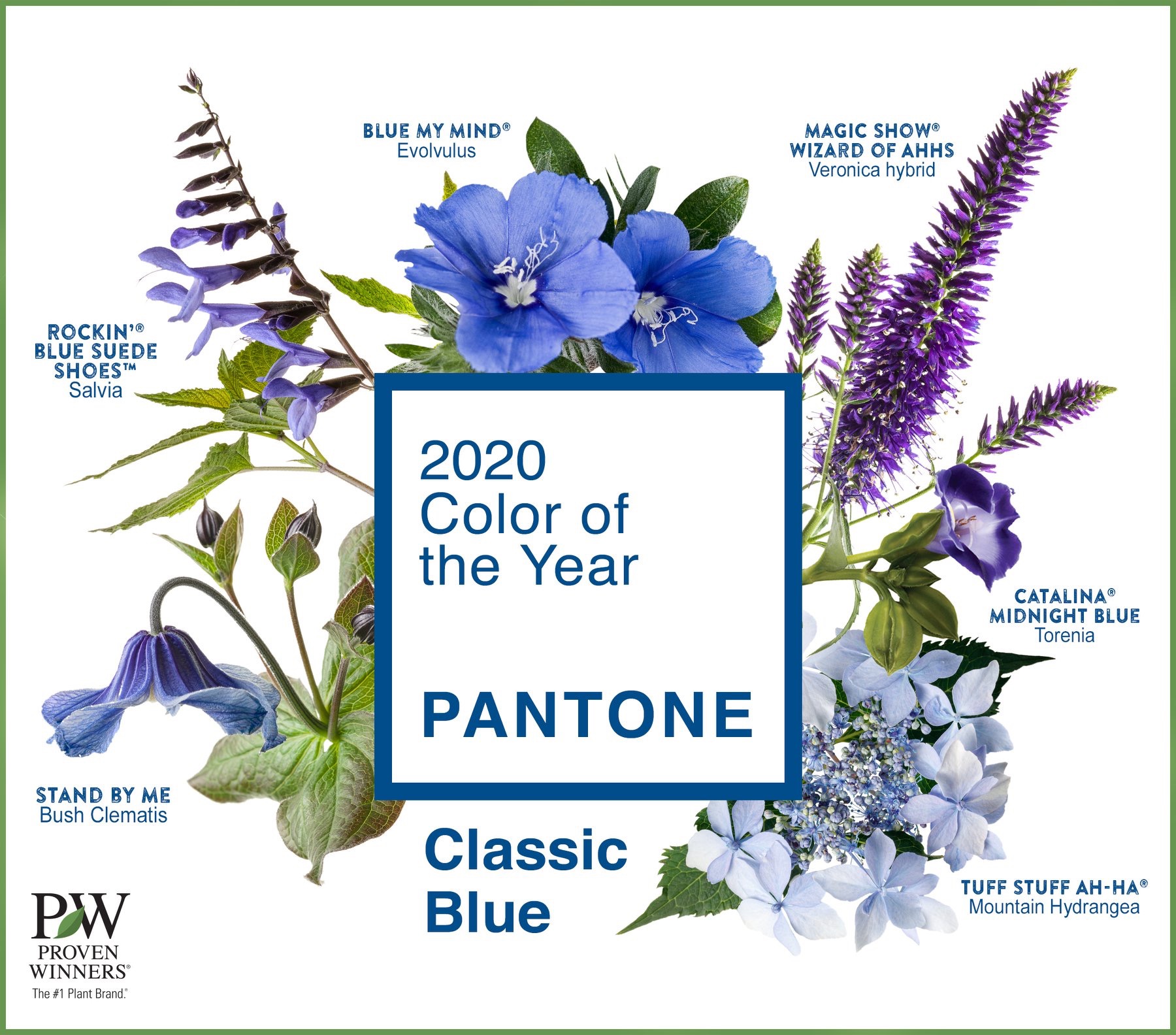 Pantone Color of the Year 2020 | Loudcooking